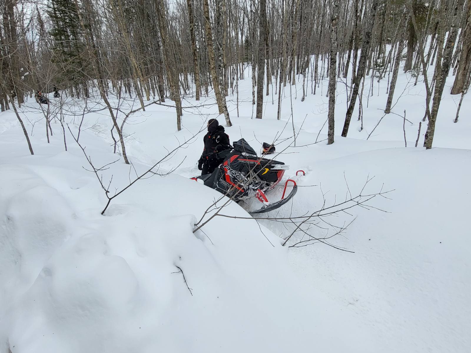 The legacy of Donald Trump - Current Events - FreedomSledder.com