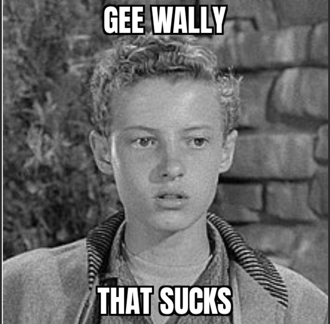 Wally Cleaver - Current Events - FreedomSledder.com