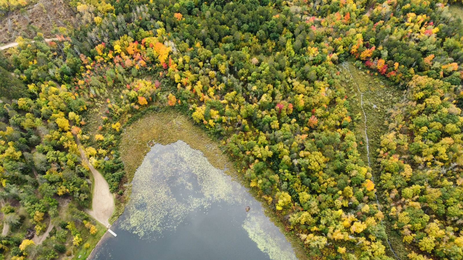 Fall Photos and videos thread - Current Events - FreedomSledder.com