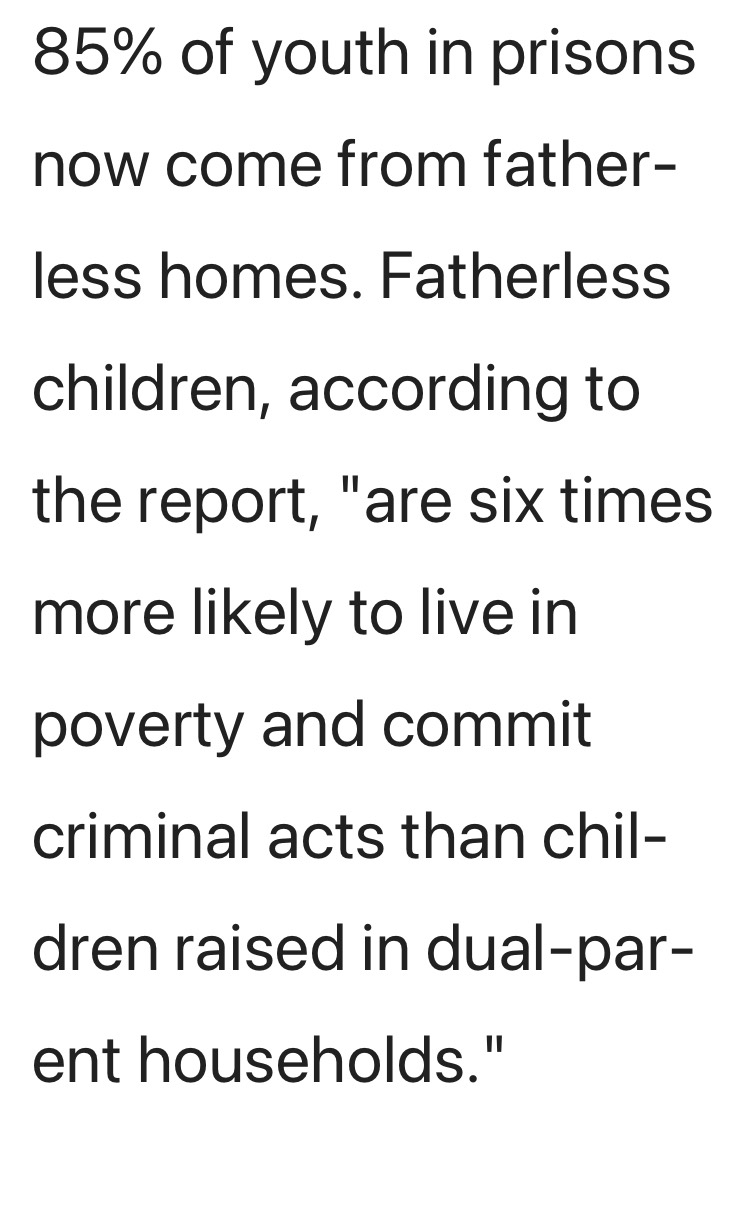 Systemic Fatherless - Current Events - FreedomSledder.com