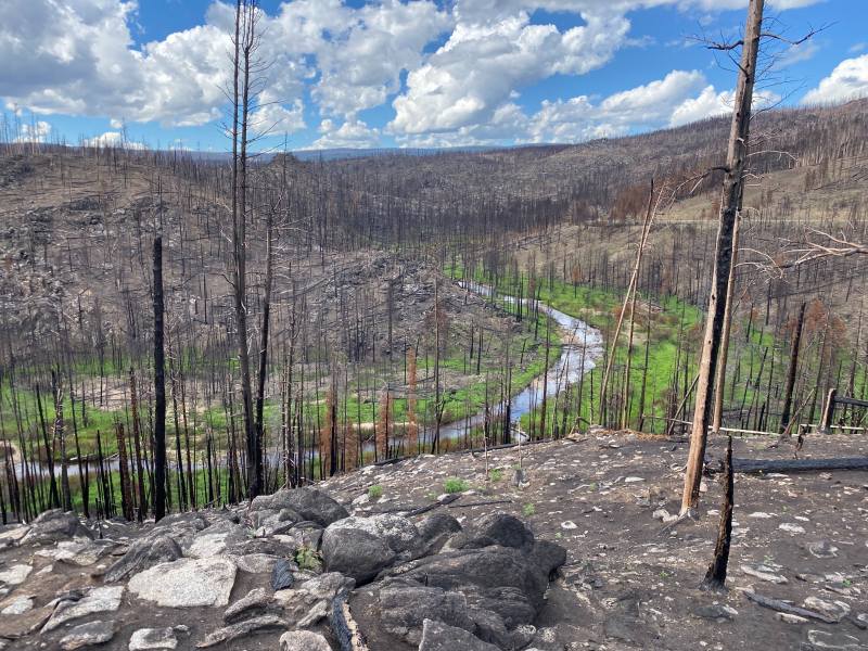 Aftermath of the BC fires. - Current Events - FreedomSledder.com