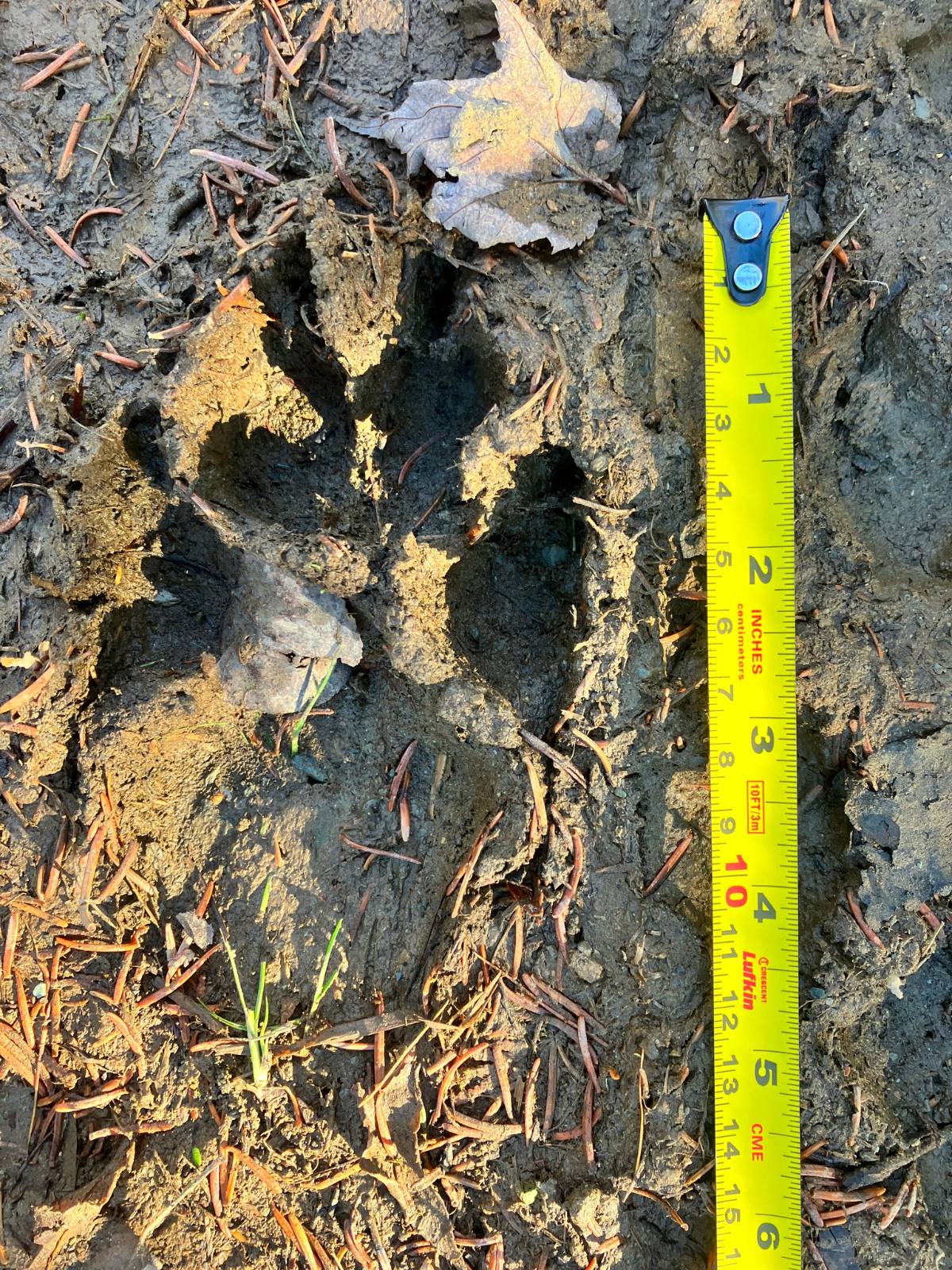 Happy new year 2024 - Page 2 - Current Events - FreedomSledder.com