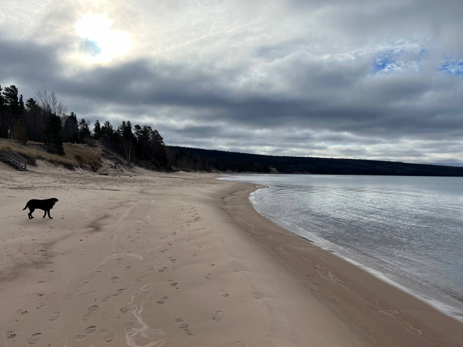 Its Joe or go bust. - Current Events - FreedomSledder.com